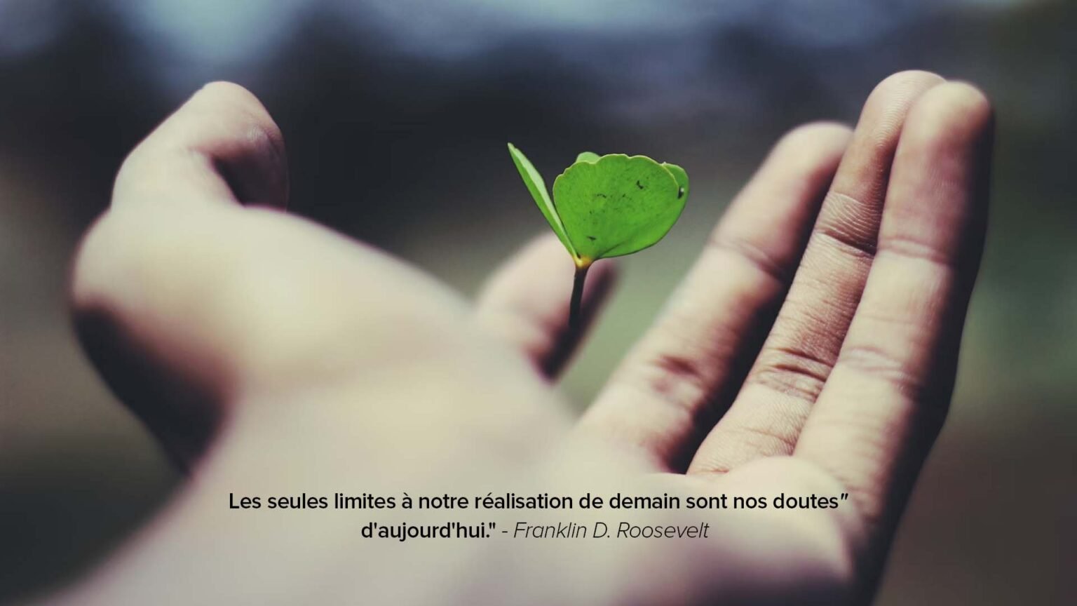 Growth Mindset : Tout ce Dont vous Devez Savoir